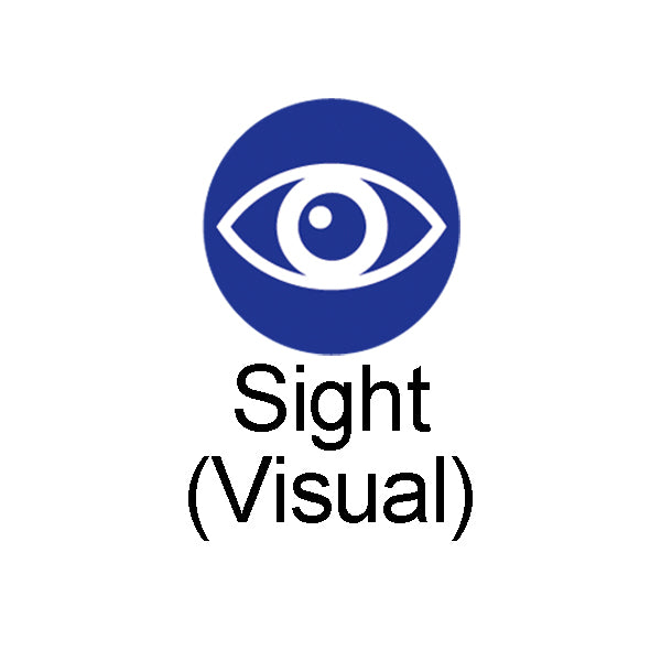 Sight – Seven Sensory Toys